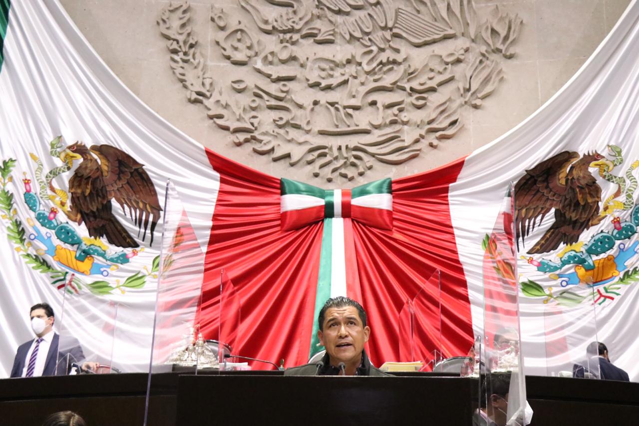 Cámara de Diputados aprueba dictamen para incluir el abandono de un ...