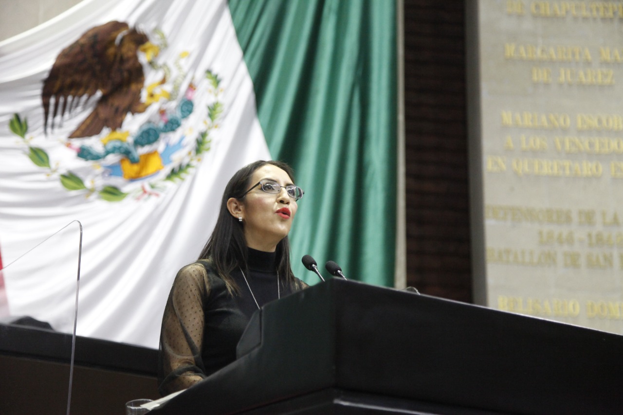 La Diputada Laura Imelda Pérez Segura impulsa la Salud Mental Materna ...