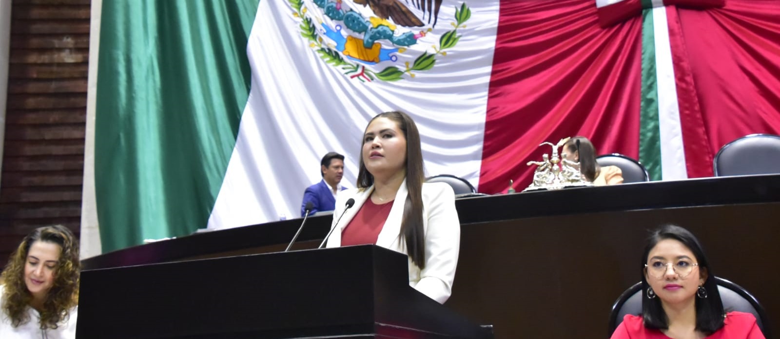 La Cámara de Diputados aprueba iniciativa para salvaguardar la salud de ...