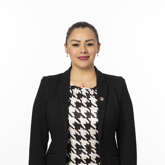 LIDIA PÉREZ BÁRCENAS - Diputadas y Diputados Morena LXVI ...