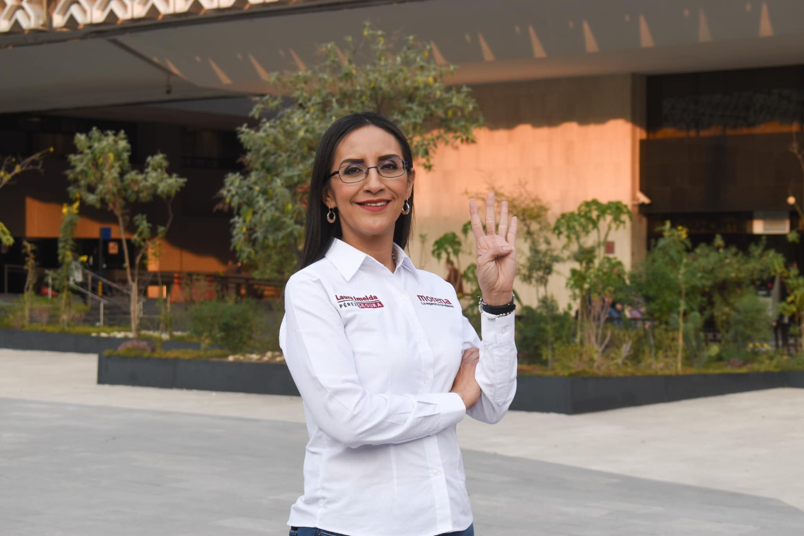 DIPUTADA FEDERAL, LAURA IMELDA PÉREZ SEGURA, PROPONE INICIATIVA PARA ...