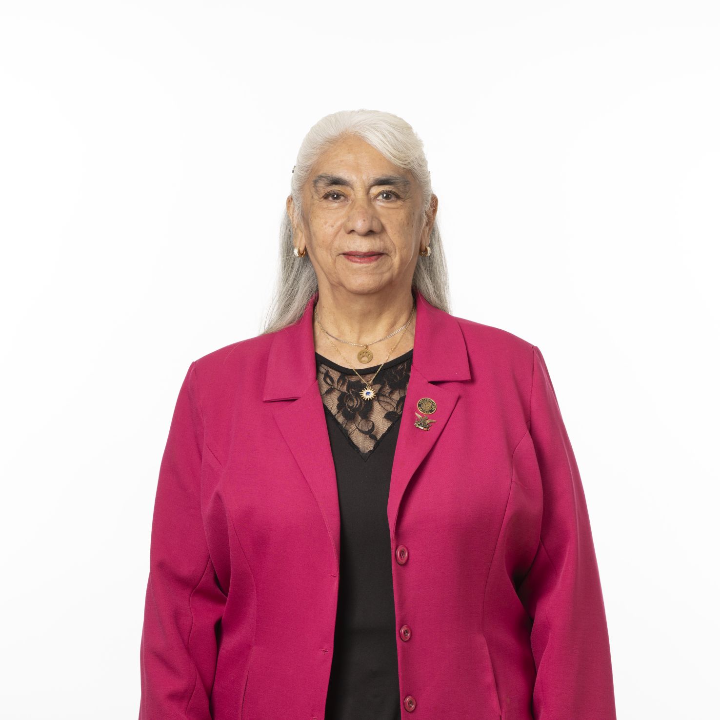 SUSANA CANO GONZÁLEZ - Diputadas y Diputados Morena LXVI ...