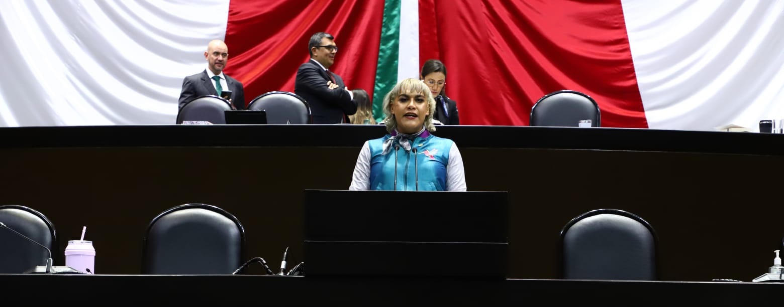 LA DIPUTADA MARÍA CLEMENTE IMPULSA LEY PARA GARANTIZAR LOS DERECHOS DE ...